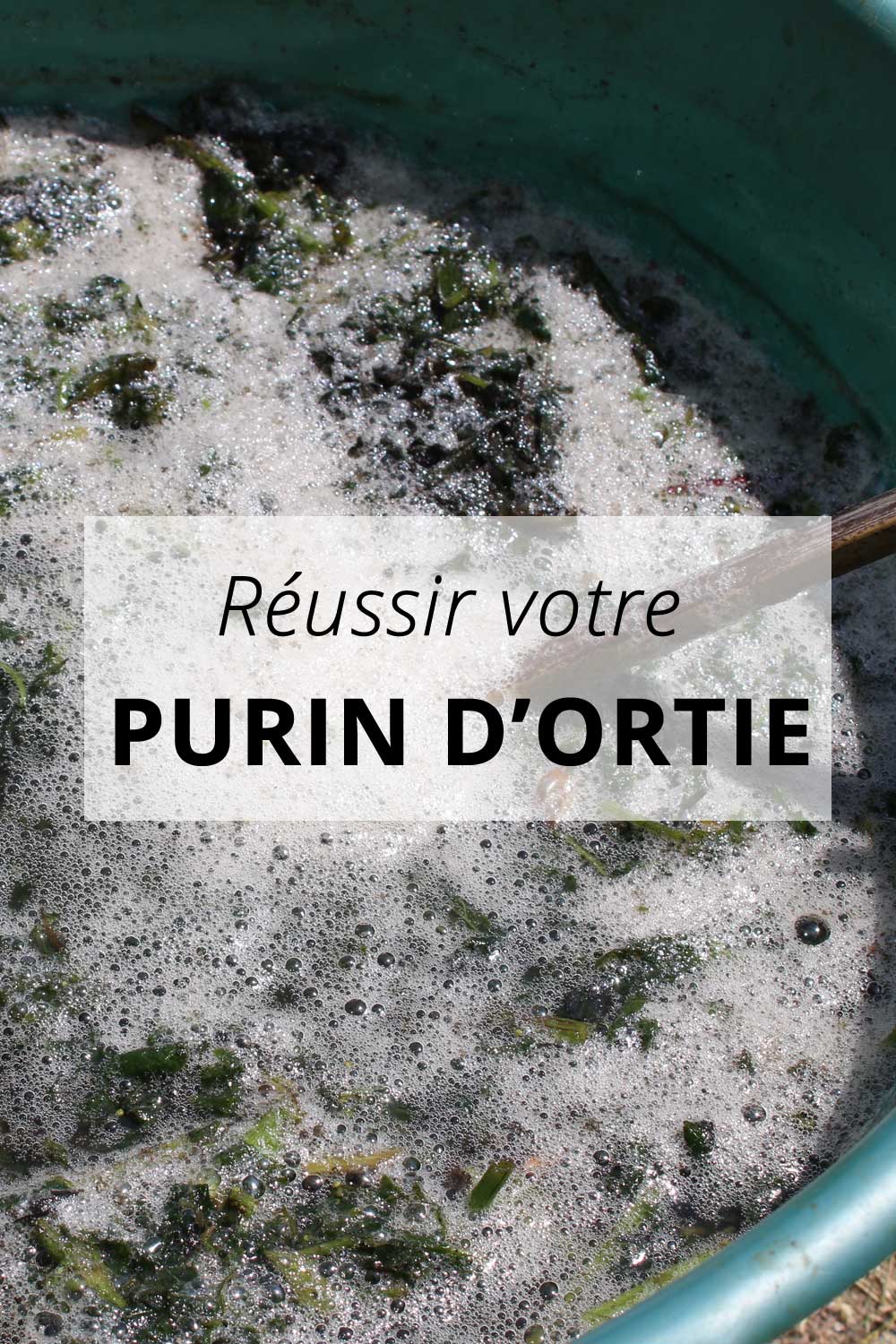 Purin d’ortie : recette, dosage et utilisation au potager bio