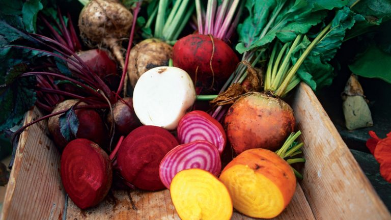 Légumes racines et tubercules à cultiver dans un potager en permaculture